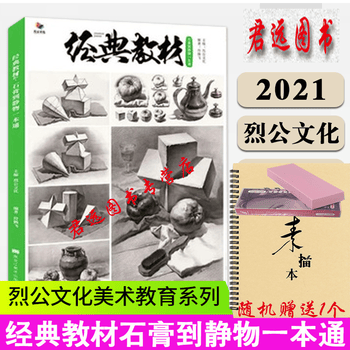 经典教材石膏到静物一本通 2021烈公文化符腾飞 照片结构解析石膏像人物头像临摹素材素描美术素描