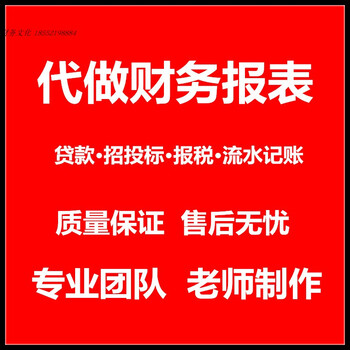 招投标财务报表编制资产负债表贷款代做企业报表第三方申报状况表