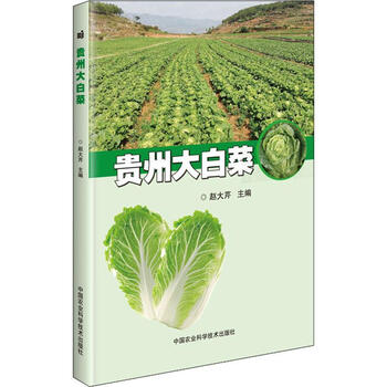 贵州大白菜