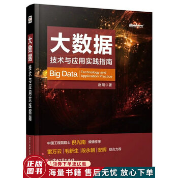 大数据：技术与应用实践指南