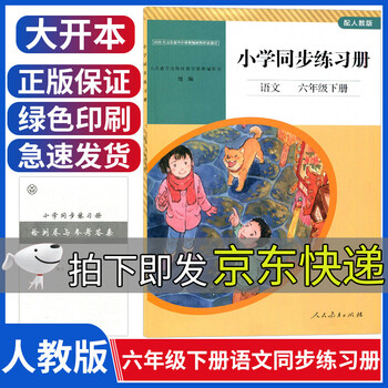配人教版语文六年级下册小学语文同步练习册六年级下册部编与6六年级下册语文书课本教材配套人民教育出版社