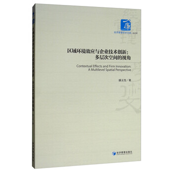区域环境效应与企业技术创新：多层次空间的视角