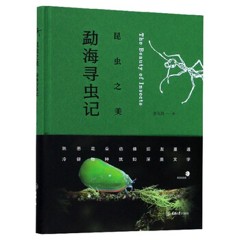 昆虫之美(勐海寻虫记)(精)