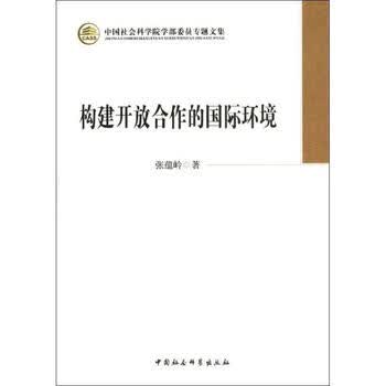 构建开放合作的国际环境
