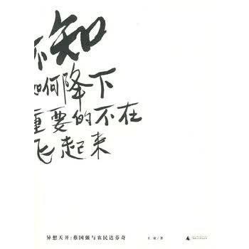 异想天开:蔡国强与农民达芬奇