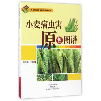 小麦病虫害原色图谱/农作物病虫害原色图谱丛书