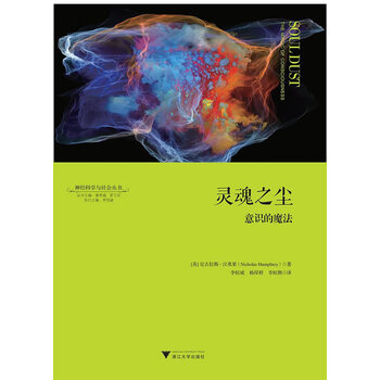 灵魂之尘:意识的魔法