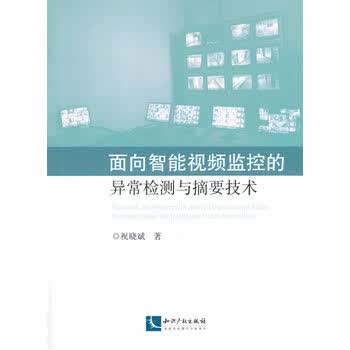 面向智能监控的异常检测与摘要技术