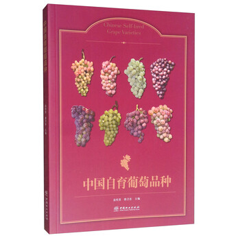 中国自育葡萄品种
