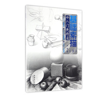 基础素描(下从入门到精通)