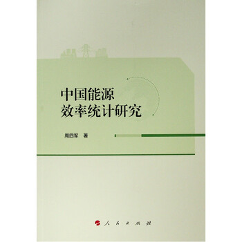 中国能源效率统计研究