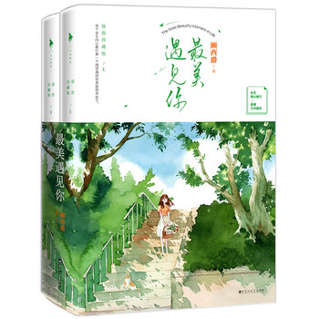 美遇见你：插图珍藏版 小说 书籍