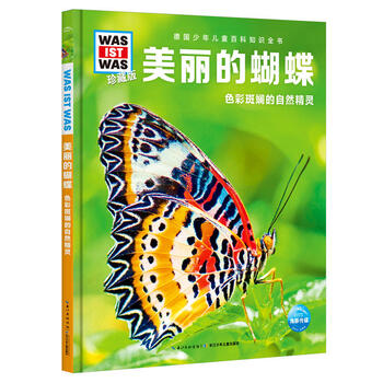 美丽的蝴蝶(珍藏版)
