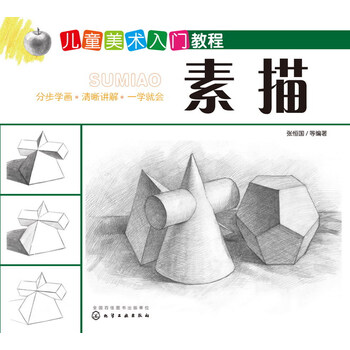 儿童美术入门教程——素描 张恒国 等编著