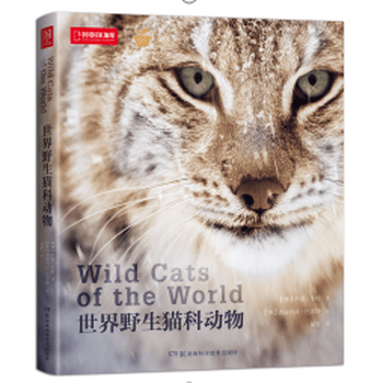 世界野生猫科动物