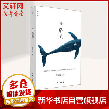 迷路员 沈大成 台海出版社 理想国出品