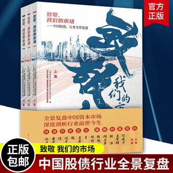 致敬，我们的市场套装全3册 股债市场 梳理股债 股债全景深度复盘 上海人民出版社预售
