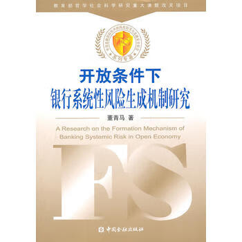 开放条件下银行系统性风险生成机制研究
