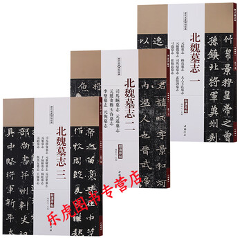 3本包邮 北魏墓志全集（全3册） 历代名家碑帖经典 毛笔楷书字帖 北魏李璧墓志 张黑女墓志 元倪墓志