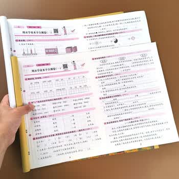 二年级下册期末复习测评卷语文数学人教版全能达标100分同步训练小学2年级冲刺100分周考月考期中期末单元测试卷 共2本 二年级下册 语文+数学