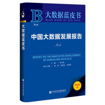 大数据蓝皮书：中国大数据发展报告No.6     连玉明 主编    社科文献