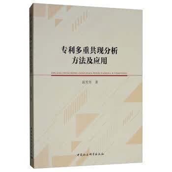 专利多重共现分析方法及应用