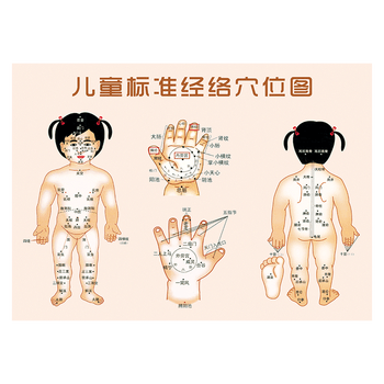 儿童标准经络穴位图宣传画海报挂图儿童中医保健展板墙贴画WST WST19 儿童标准经络穴位图 80*60厘米 PP覆膜贴纸