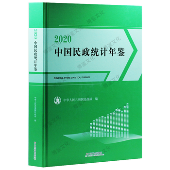 中国民政统计年鉴 2020年版（附电子版）