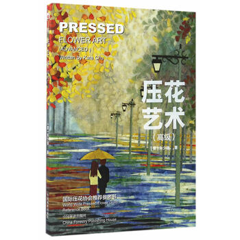 压花艺术（） 家居 书籍