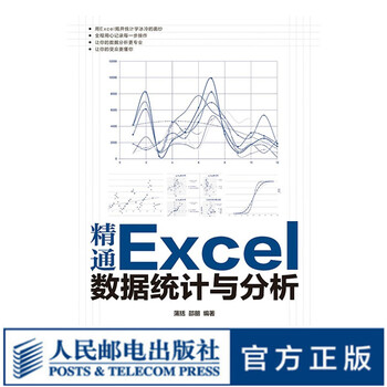 精通Excel数据统计与分析