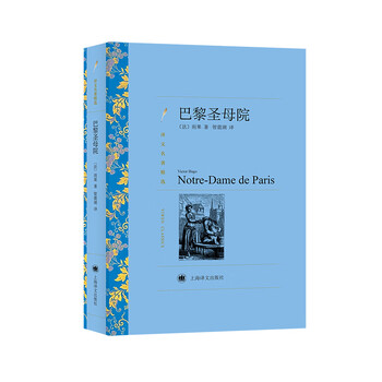 文学名著·译文名著精选：巴黎圣母院