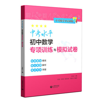 中考水平初中数学专项训练与模拟试卷