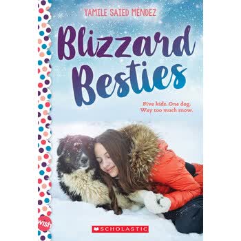 BLIZZARD BESTIES 暴雪BESTIES 英文原版
