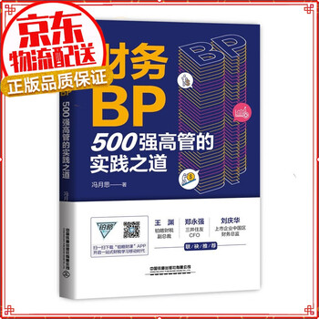 财务BP：500强高管的实践之道