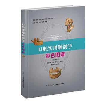 速发 口腔实用解剖学彩色图谱 杜昌连   医学 9787535266590