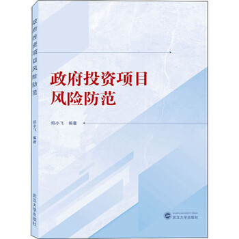 政府投资项目风险防范 图书