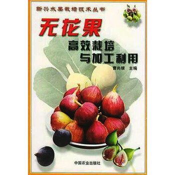 无花果高效栽培与加工利用 曹尚银主编 中国农业出版社