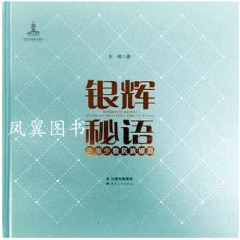 银辉秘语 王珺著 云南人民出版社