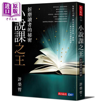 小说课之王 折磨读者的祕密 港台原版 许荣哲 天下文化