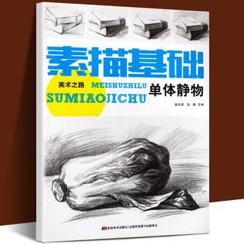单体静物 美术之路素描基础 静物素描实物照片黑白灰的关系明暗结构图分解步骤解析从零开始新手入门零基