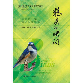 精灵的快闪：闽南金三角常见鸟类概览