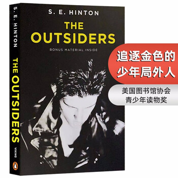 英文原版 追逐金色的少年局外人 Outsiders 常青藤国际大奖小说苏珊埃洛伊斯欣顿青少年读物文学小说书籍