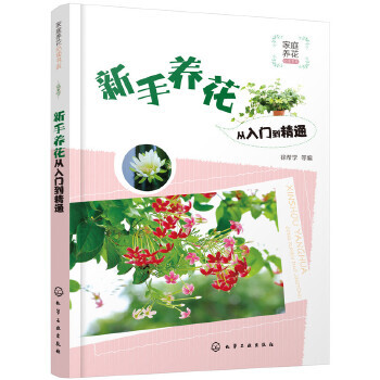 新手养花从入门到精通-家庭养花书系