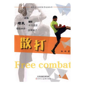 散打 小说 书籍