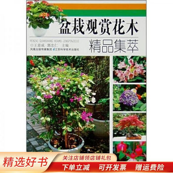 盆栽观赏花木精品集萃 王意成