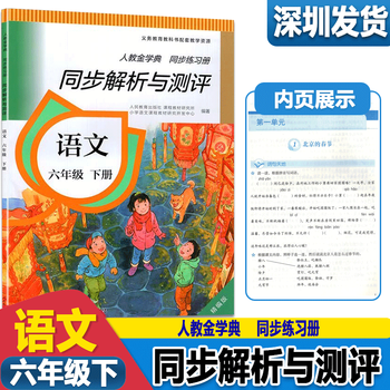 2022年新版 人教金学典同步练习册 同步解析与测评语文六年级下册 小学语文6年级下教辅练习册人教版 六年级下 语文
