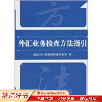 外汇业务检查方法指引