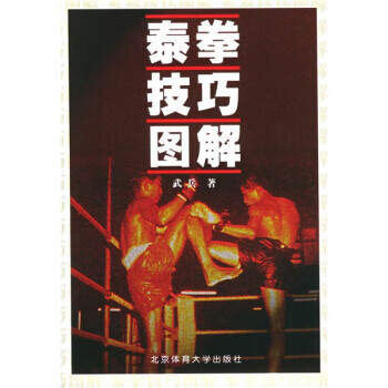 泰拳技巧图解 武兵 著【正版书】