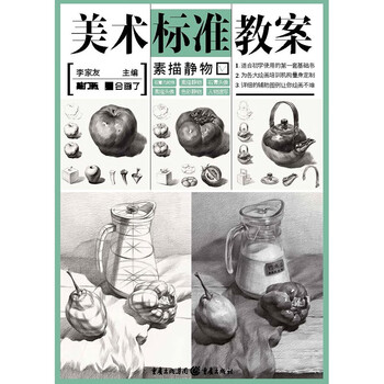美术标准教案——素描静物