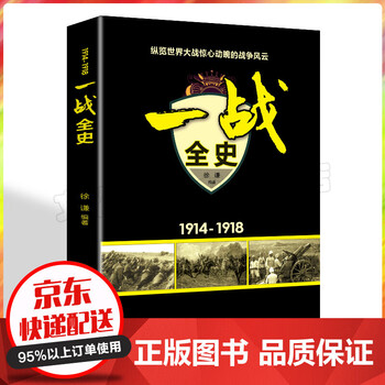 一战全史 第一次世界大战 军事历史书籍战争形势和战略战术 战役经过 主要将领 武器装备 战争史书正